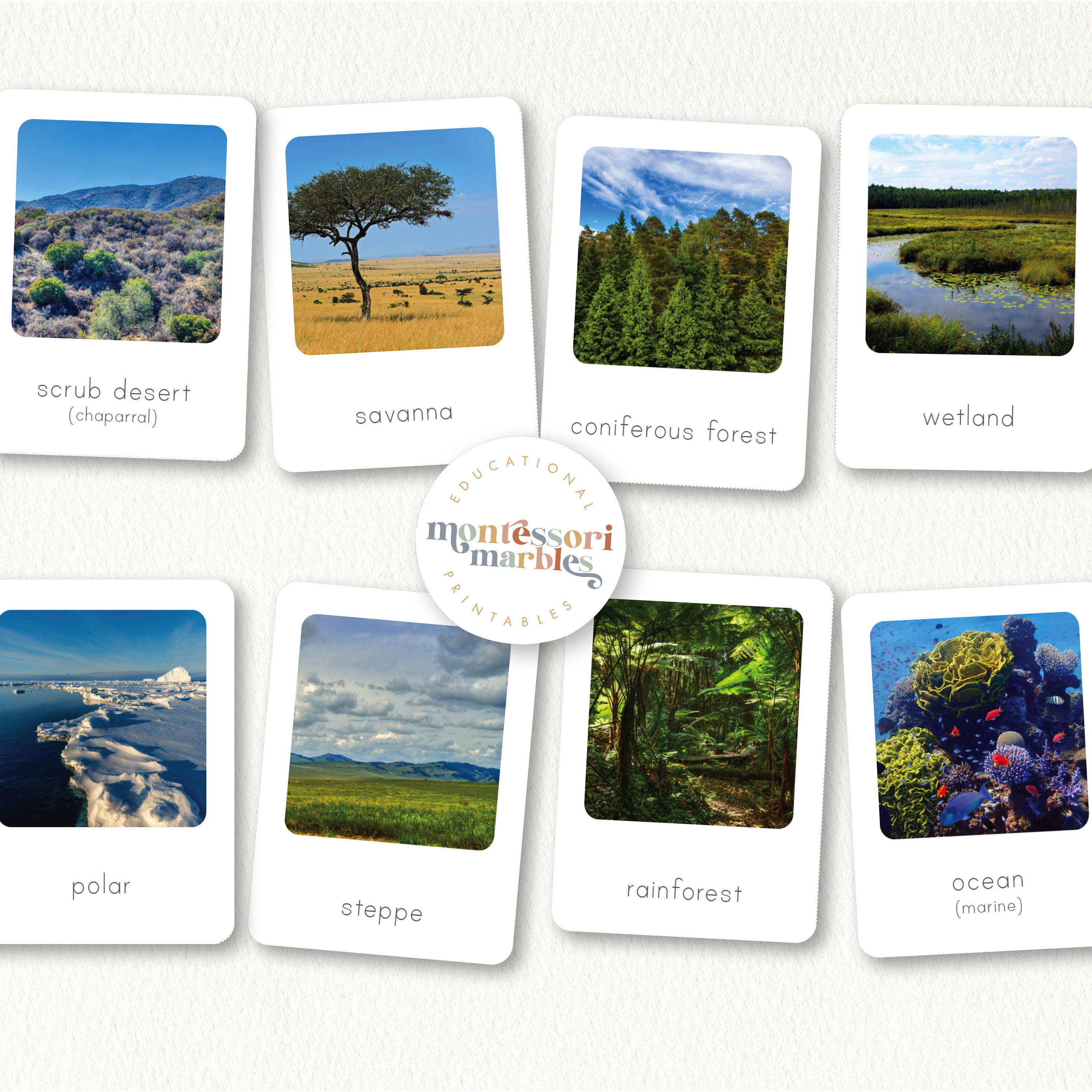 Biomes Geography Flash Cards | Montessori Cultural | Real Photos ...