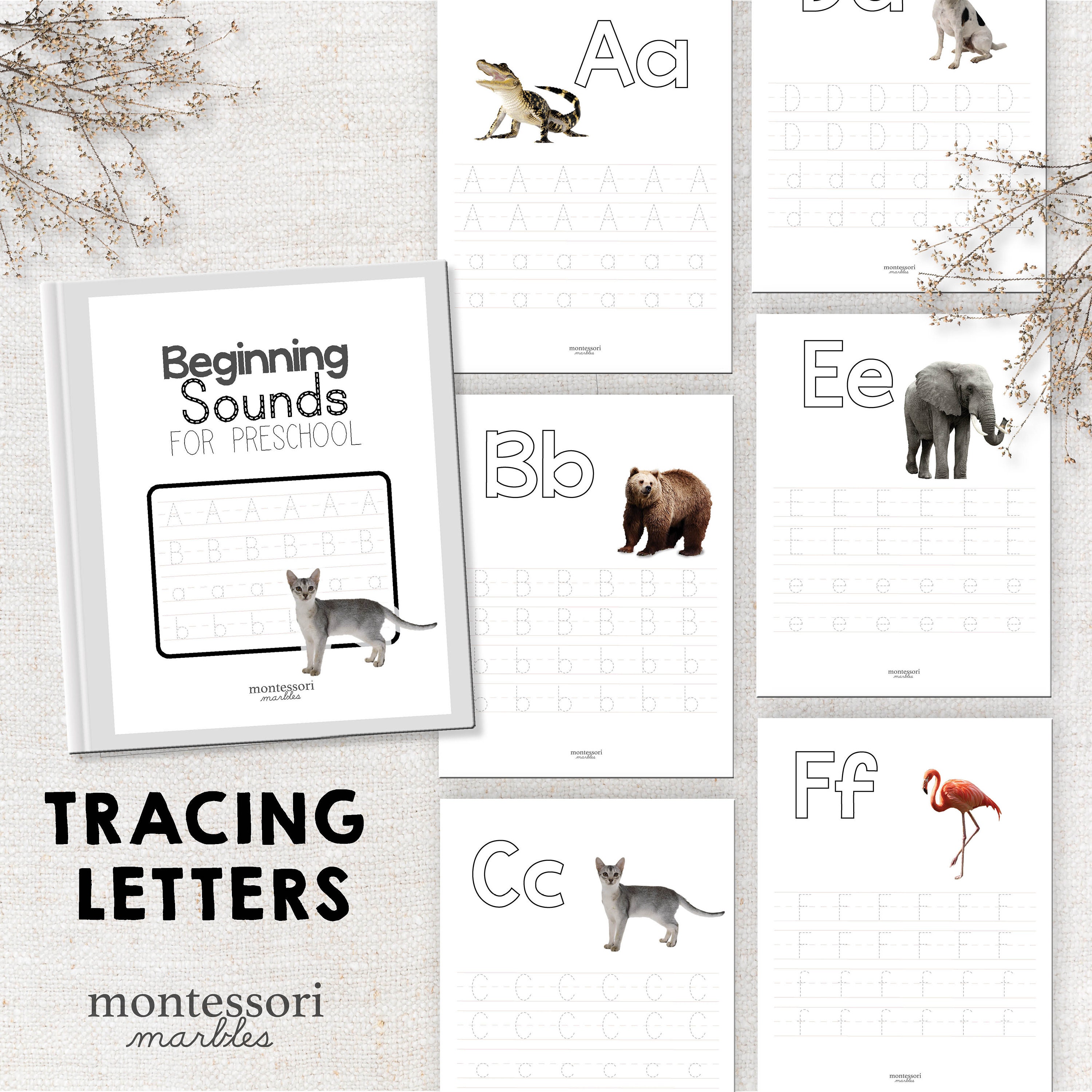 BEGINNING SOUNDS Alphabet Tracing Workbook, Handwriting Practice ...