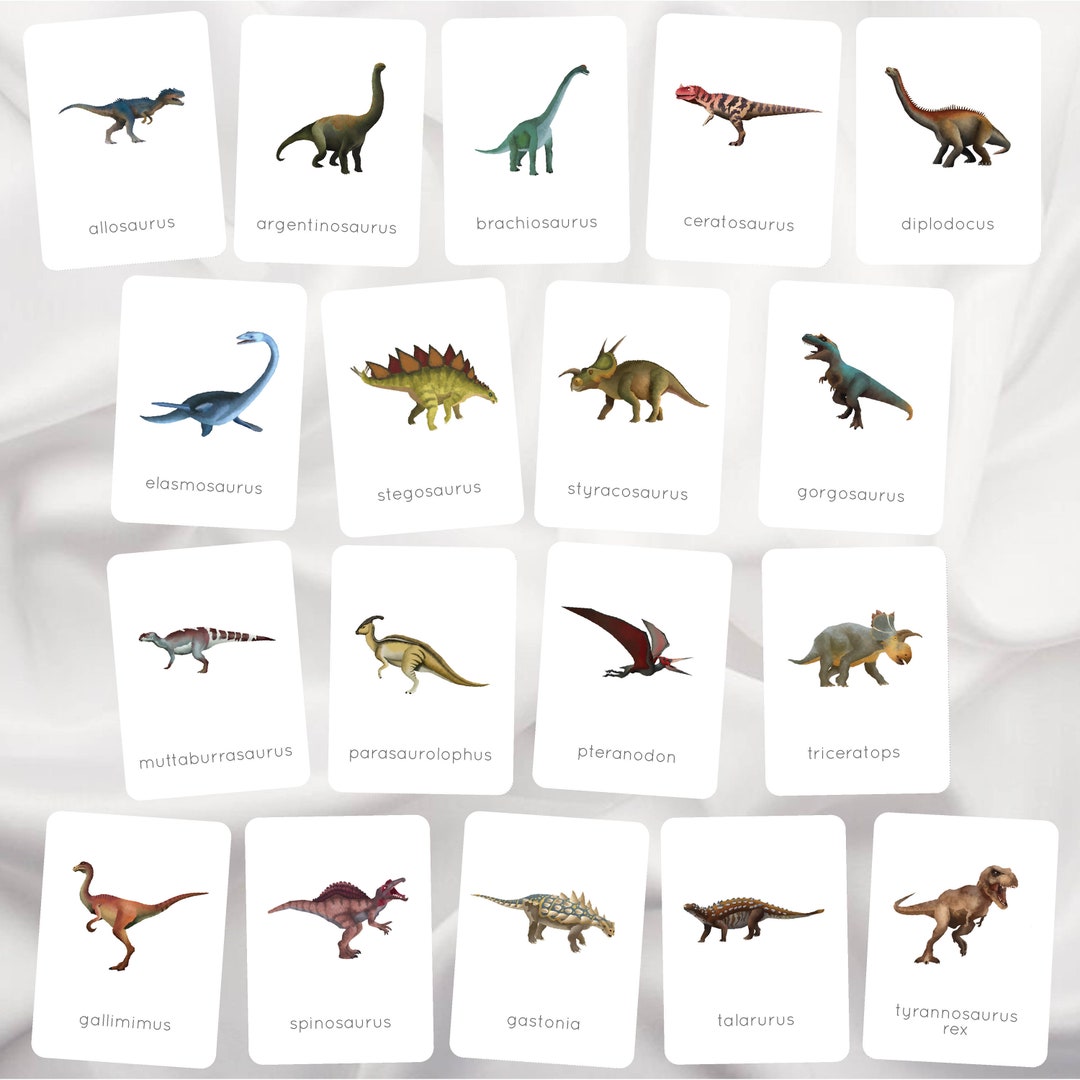 DINOSAURS Flash Cards 18 Flashcards Montessori Inspired Homeschool ...