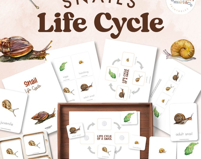 Parts of a Snail Nomenclature Book Montessori Zoology Printable ...