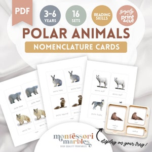 POLAR ANIMALS Nomenclature Cards | Arctic Animals | Montessori 3-part ...