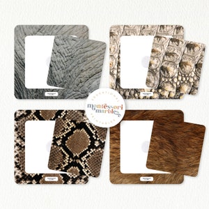 Safari Jungle Animals Pattern Matching 16 Puzzles | Two-piece Visual ...