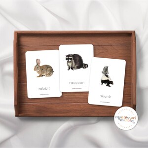 WOODLAND ANIMALS Flash Cards Montessori Inspired Printable Resources ...