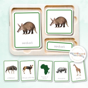 ANIMALS OF AFRICA Montessori Nomenclature Cards | Nature-based Learning ...