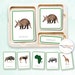 ANIMALS OF AFRICA Montessori Nomenclature Cards Nature-based Learning ...