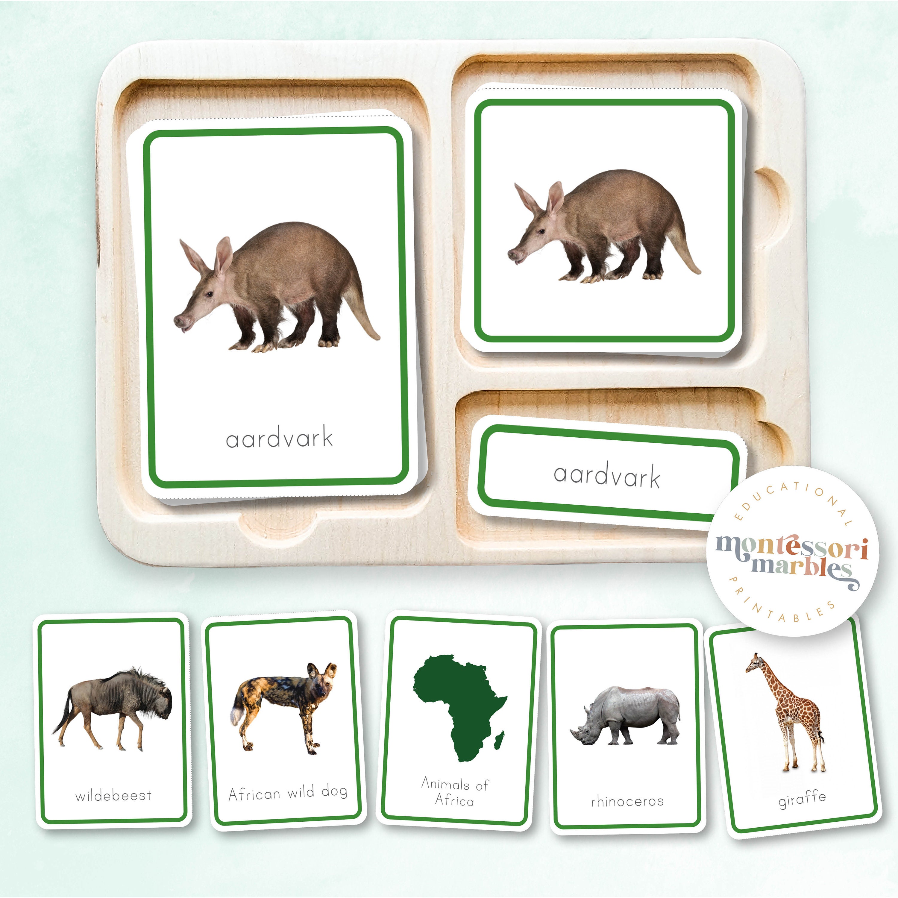 ANIMALS OF AFRICA Montessori Nomenclature Cards Nature-based Learning ...