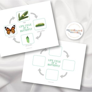 Life Cycle of a Butterfly | Montessori Nomenclature Cards | Nature ...