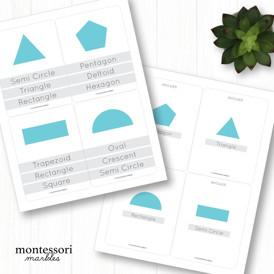 Shapes Quiz Flash Cards for Math Printable Activity Worksheet | Etsy