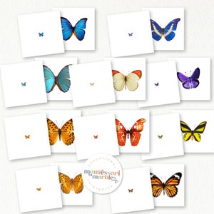 BUTTERFLY Magnifying Matching Game | Montessori at Home Using ...