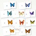 BUTTERFLY Magnifying Matching Game | Montessori at Home Using ...
