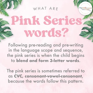 MONTESSORI PINK SERIES Short Vowels Word Lists | Emerging Readers ...