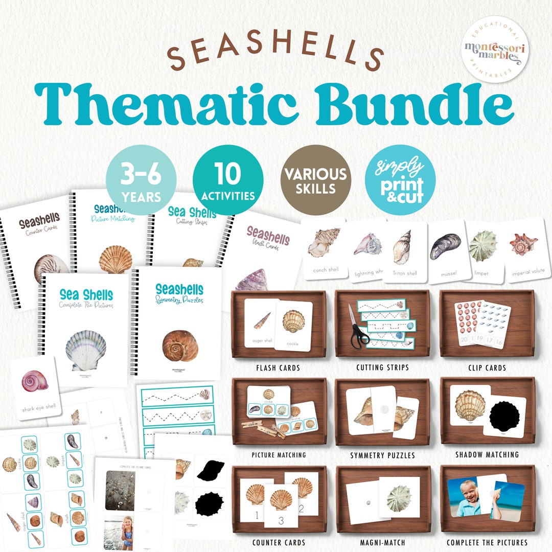 SEASHELLS Activity Bundle | Montessori Inspired Resources | Summer ...