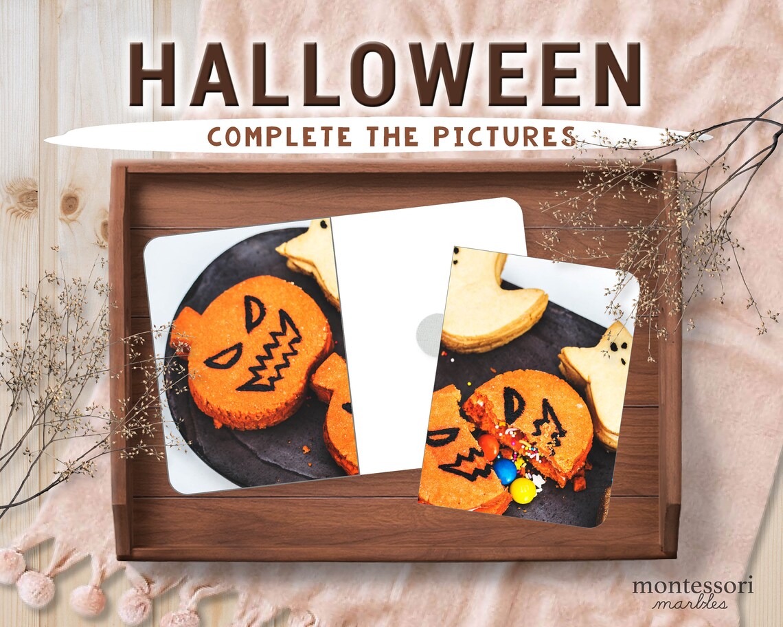 HALLOWEEN Montessori Picture Matching Activity Toddlers - Etsy
