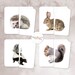 Woodland Animals Two-piece Puzzles | Symmetry Matching Game | Ages 3-6 ...