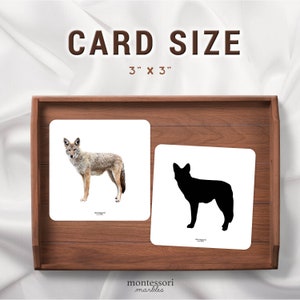 WOODLAND ANIMALS Shadow Matching Montessori Inspired Silhouette ...