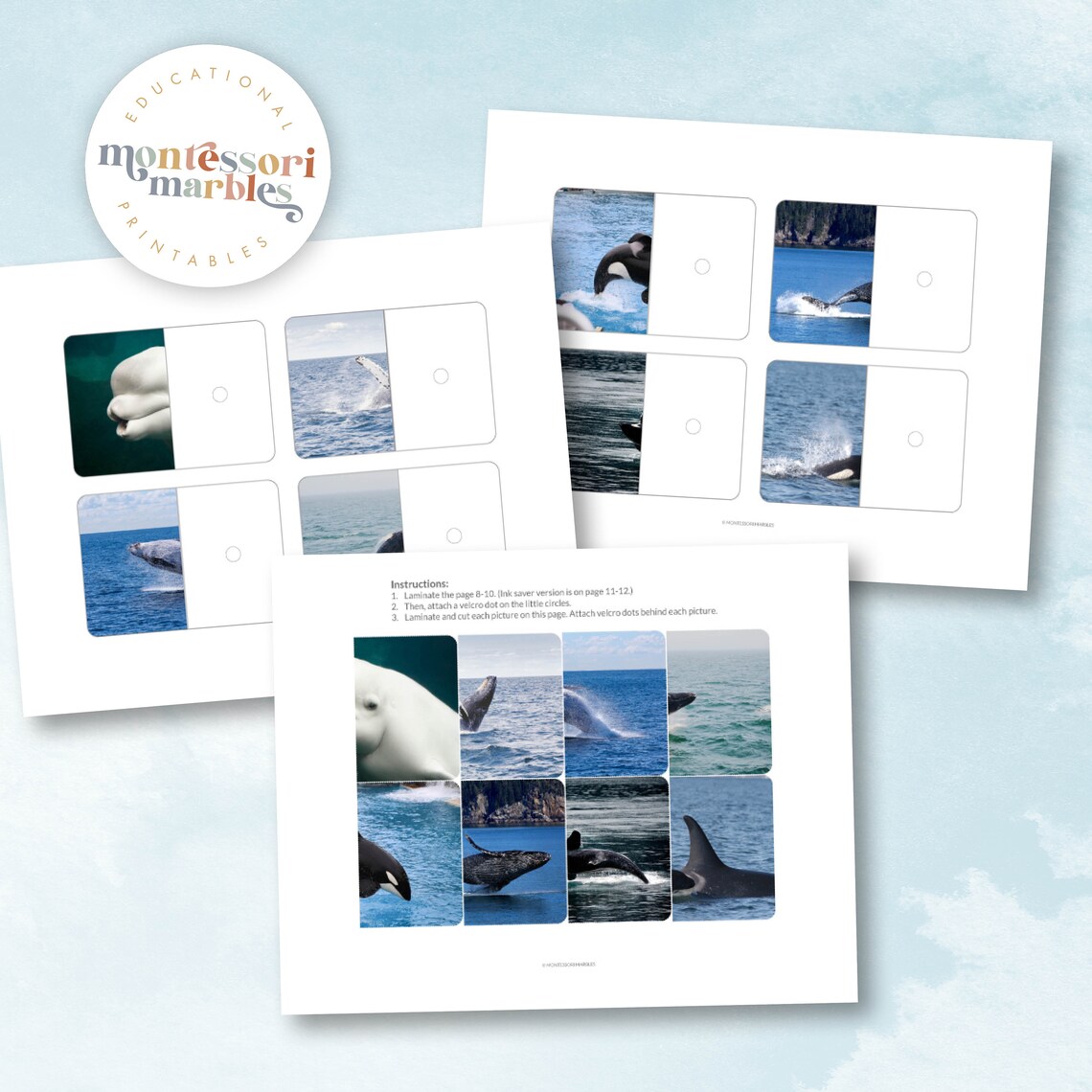 Whales Complete Pictures PDF | 8 Two-piece Puzzles Ages 2-6 | Ocean ...