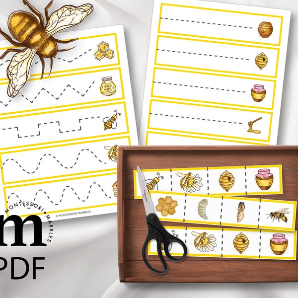 Spring Cutting Strip - Etsy