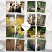 WOODLAND ANIMALS Montessori Picture Matching Activity, Toddlers ...