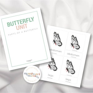 Parts of a Butterfly | Montessori Nomenclature Three-part Cards ...