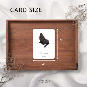 POLAR ANIMALS Nomenclature Cards Arctic Animals Montessori 3-part Cards ...