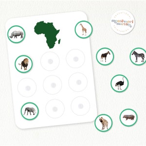 ANIMALS AND CONTINENTS Sorting Cards | Geography-based Animals Activity ...
