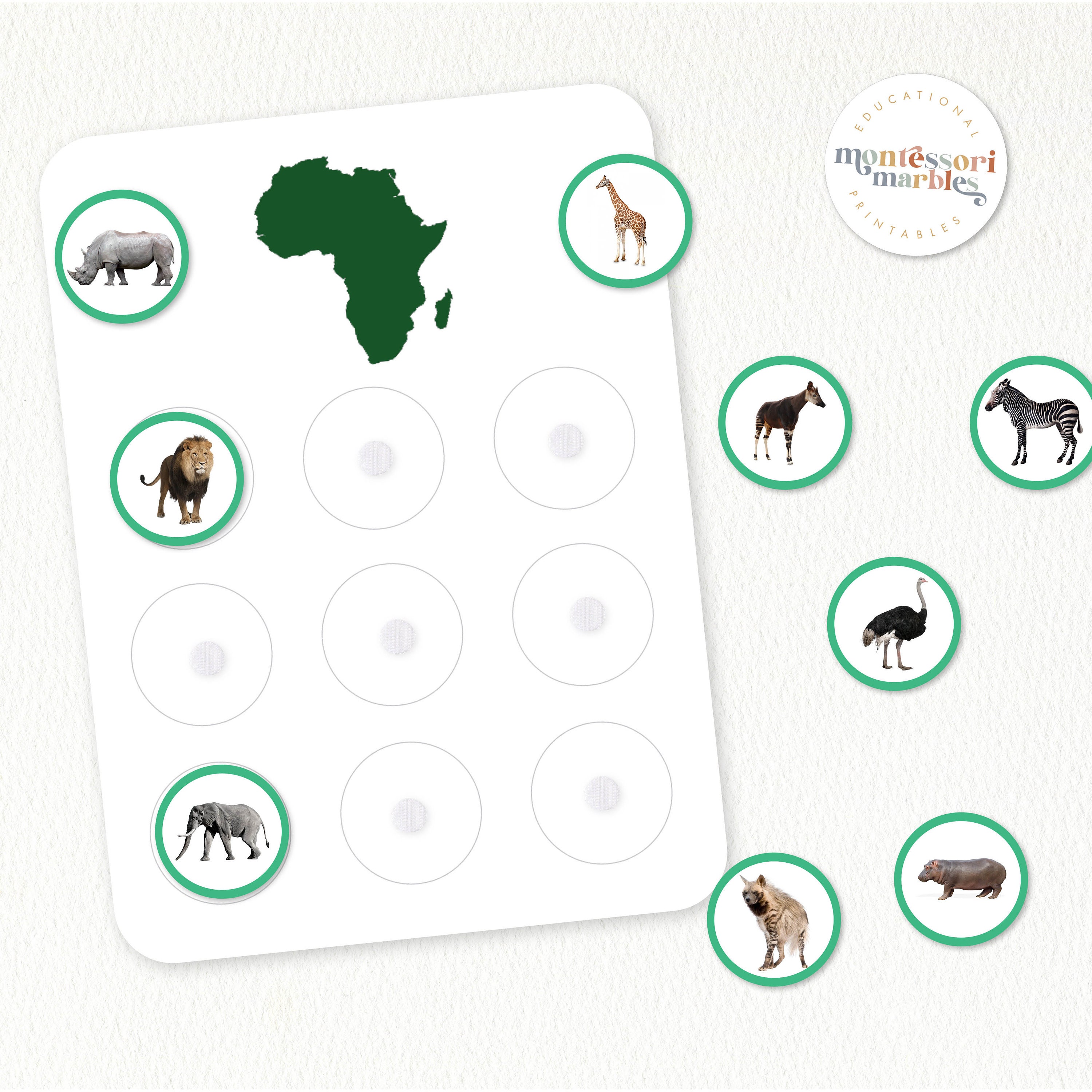 ANIMALS AND CONTINENTS Sorting Cards Geography-based Animals Activity ...