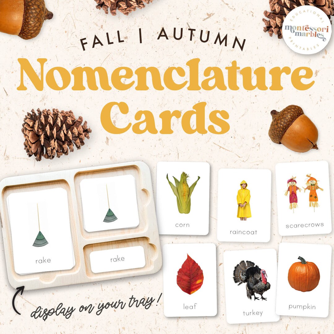 FALL Montessori Nomenclature Cards Autumn Flash Cards Four Seasons ...
