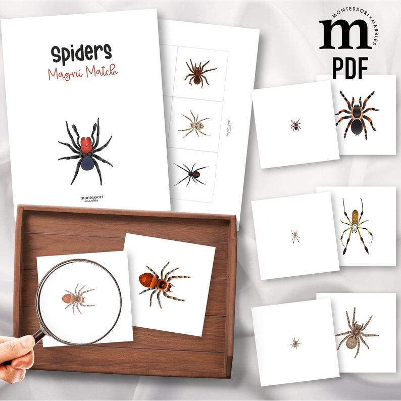 SPIDERS Magnifying Matching Game Montessori at Home Using Magnifying ...