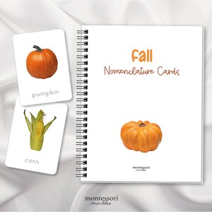FALL Montessori Nomenclature Cards, Autumn Flash Cards, Montessori Baby ...