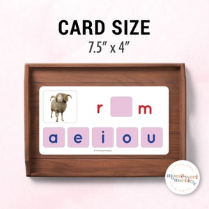 Montessori Pink Series Missing Vowel Short A, Printable Activity ...