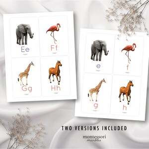 BEGINNING SOUNDS Flash Card Montessori, Phonics, Vocabulary Builder ...