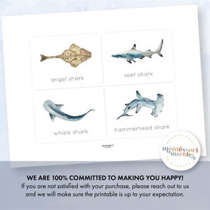 SHARKS Flash Cards | Types of Sharks | Watercolor Sharks Flash Cards ...