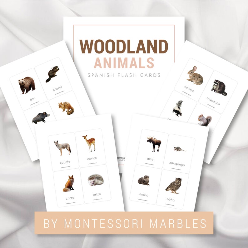 ANIMALES DEL BASQUE Woodland Animals Spanish Montessori - Etsy