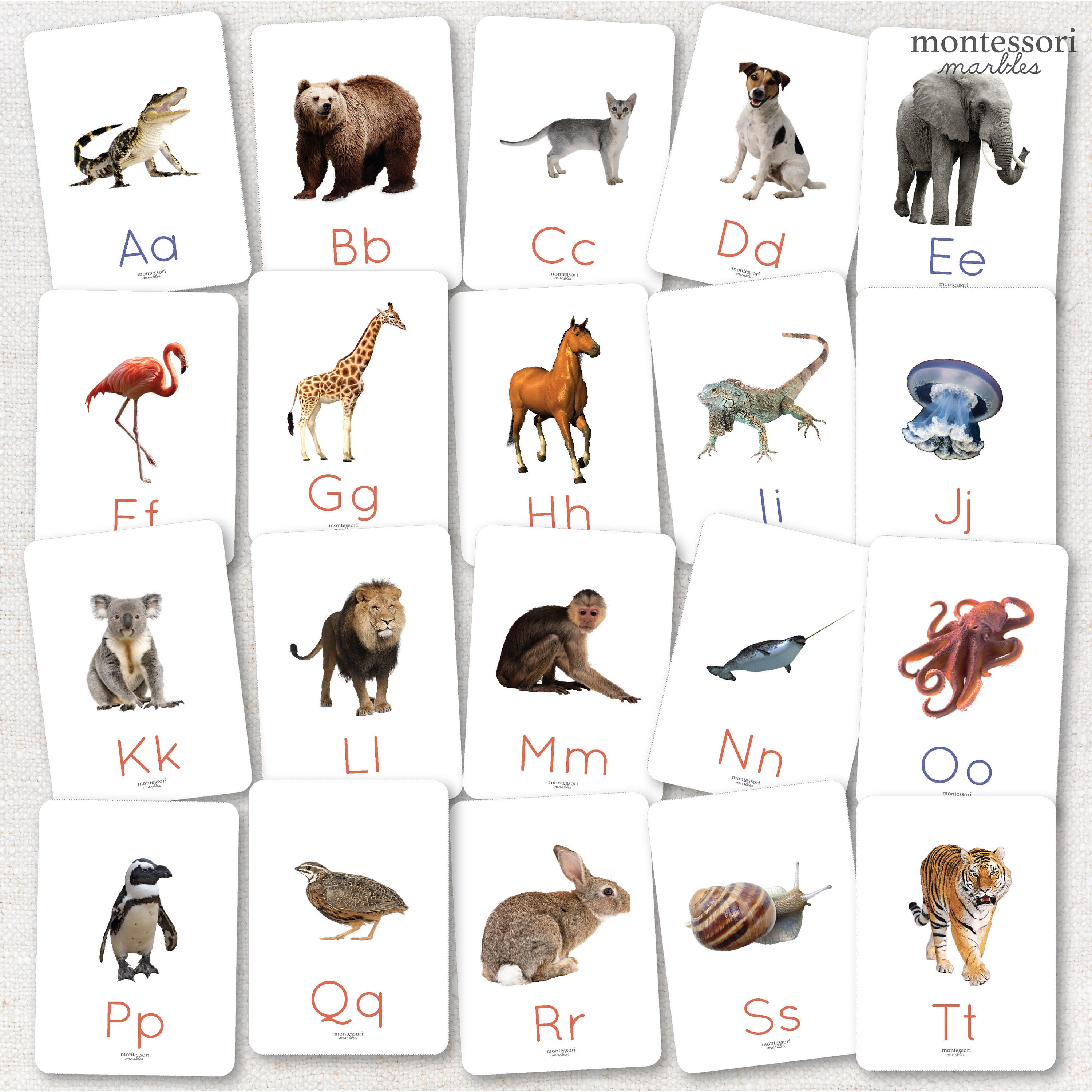 BEGINNING SOUNDS Flash Card Montessori Phonics Vocabulary - Etsy