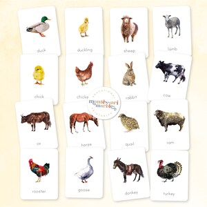 FARM ANIMALS Flash Cards | Montessori Inspired Printable Resources ...