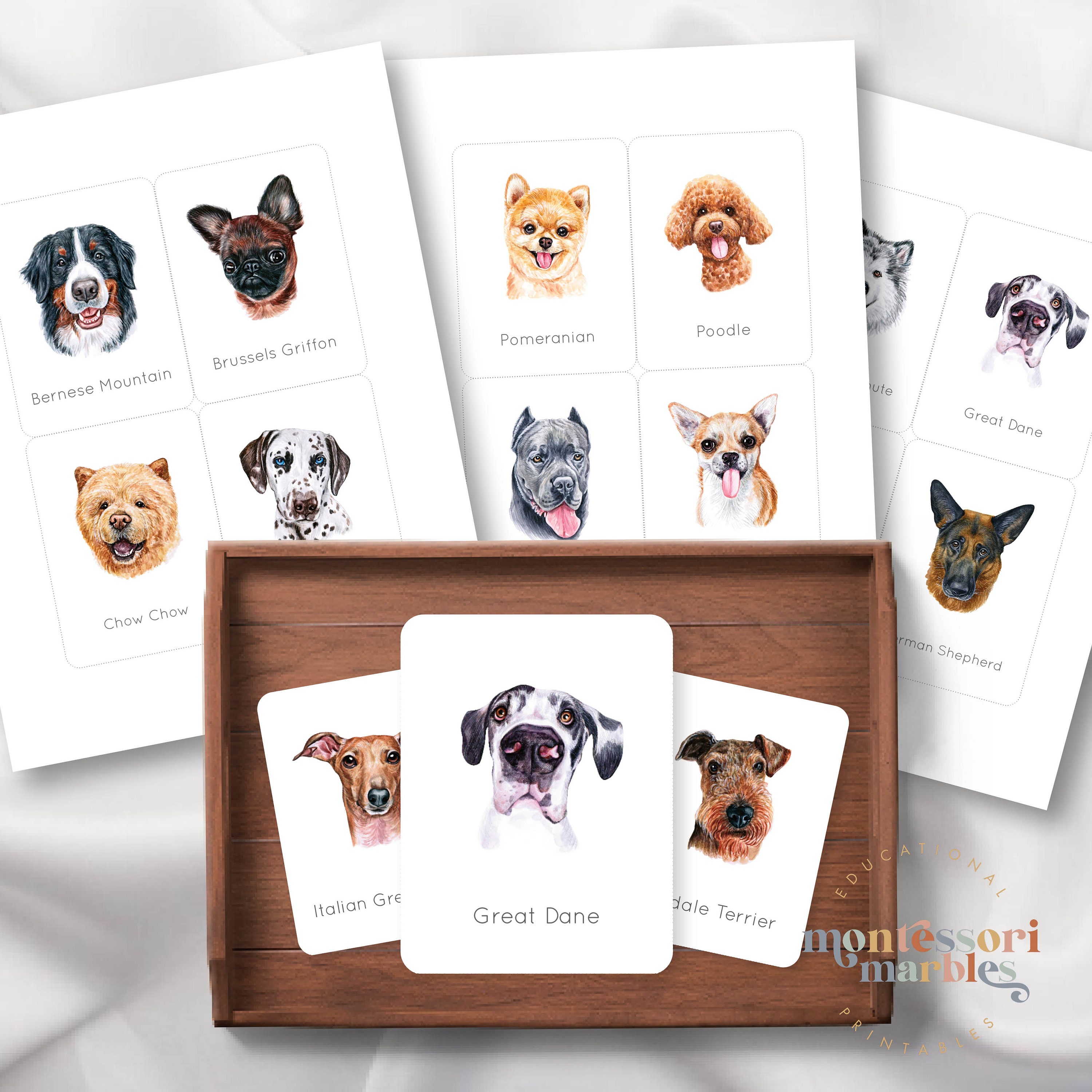 Dog Breeds Flash Cards | Montessori Homeschool Vocabulary | Real Photo ...