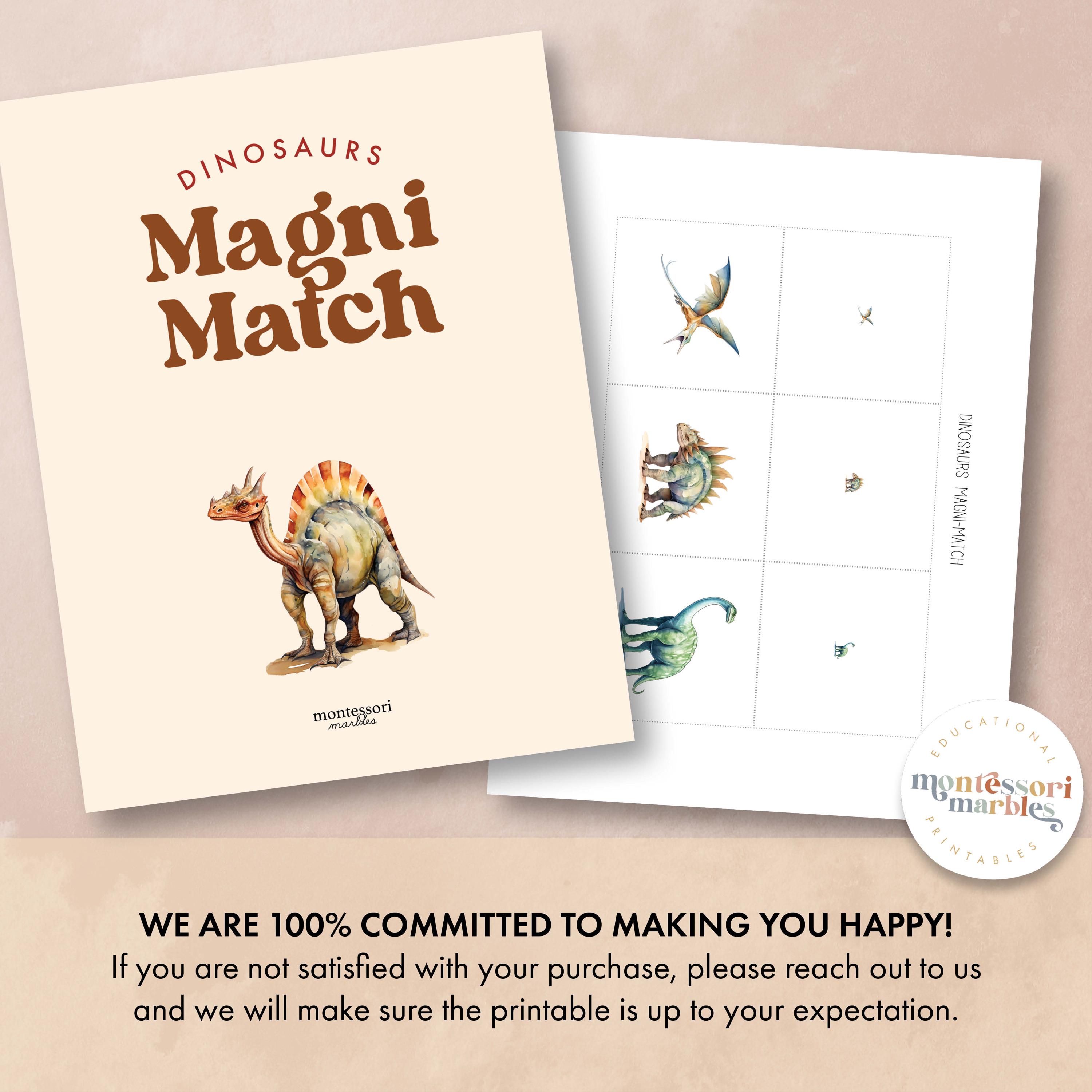 Dinosaurs Magnifying Matching Game | Montessori Visual Skills ...