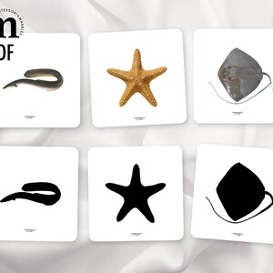 OCEAN ANIMALS Shadow Matching Montessori Inspired Silhouette Matching ...