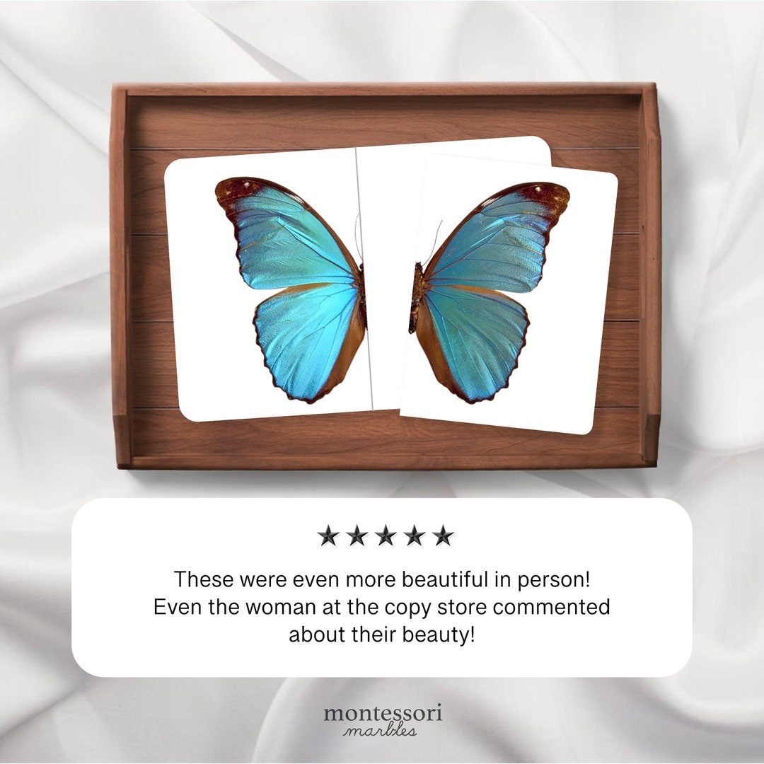 BUTTERFLY Symmetry Puzzles Montessori Inspired Visual Activity Spring ...