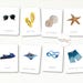 SUMMER Flash Cards | Summer Vocabulary Builder | Montessori Inspired ...