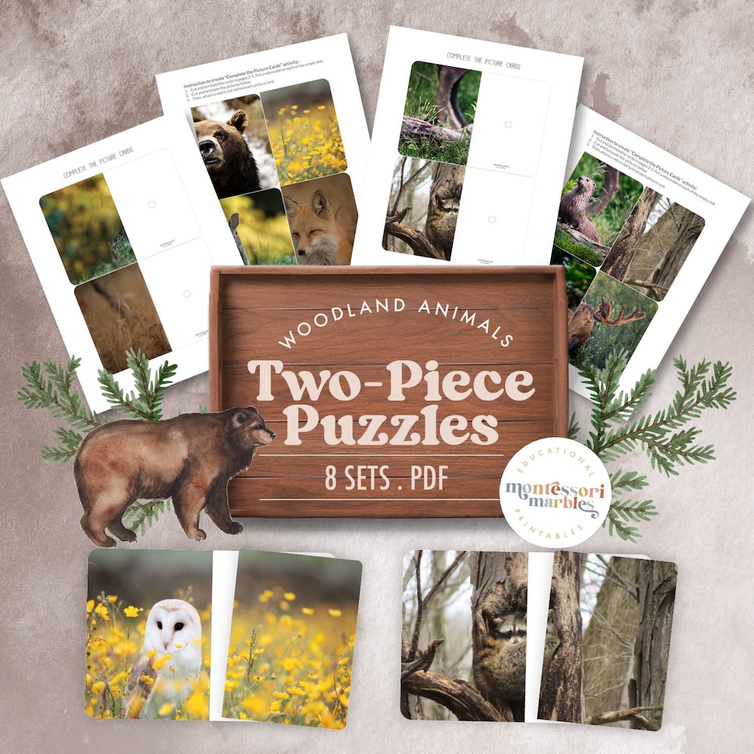 WOODLAND ANIMALS Montessori Picture Matching Activity, Toddlers ...