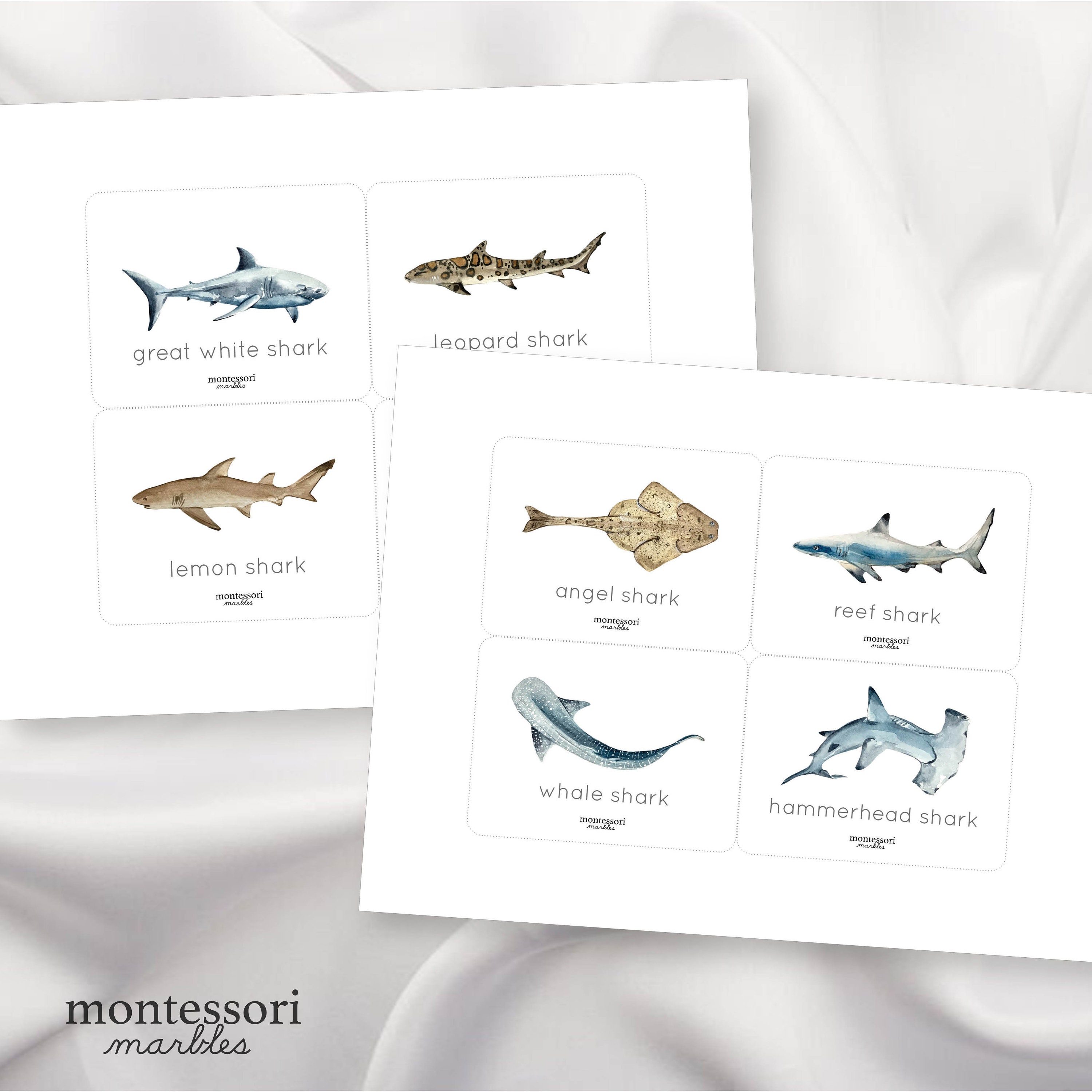 SHARKS Flash Cards Types of Sharks Watercolor Sharks Flash - Etsy UK