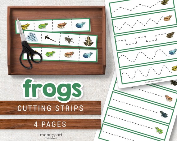 FROGS Cutting Strips With Life Cycle for Scissors Skills | Etsy