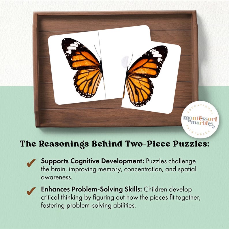 Butterfly Symmetry Puzzles | Montessori Visual Discrimination | Spring ...