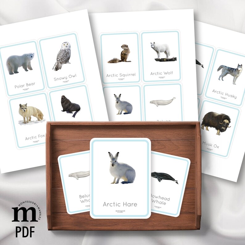 POLAR ANIMALS Flash Card Montessori Arctic Animals Winter - Etsy