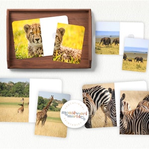 SAFARI ANIMALS Complete the Pictures | Montessori Inspired Visual ...