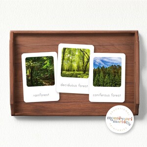 BIOMES Flash Cards | Montessori Inspired Cards | Social Studies ...