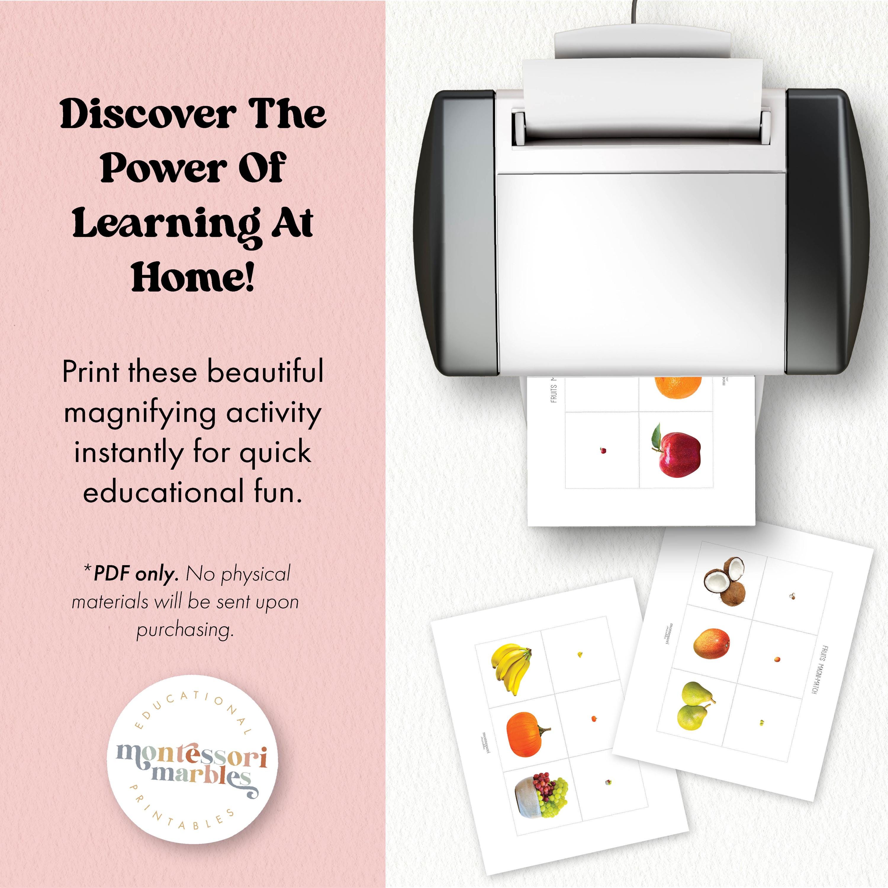 Fruits Magnifying Matching Game | Montessori Learning | Visual ...
