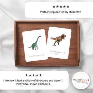 DINOSAURS Flash Cards | 18 Flashcards | Montessori Inspired Homeschool ...