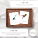 DINOSAURS Flash Cards 18 Flashcards Montessori Inspired Homeschool ...